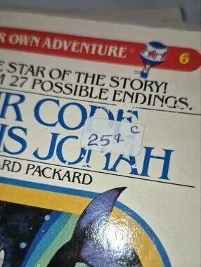 Choose your own adventure | Other | 98s Choose Your Own Adventure Book ...